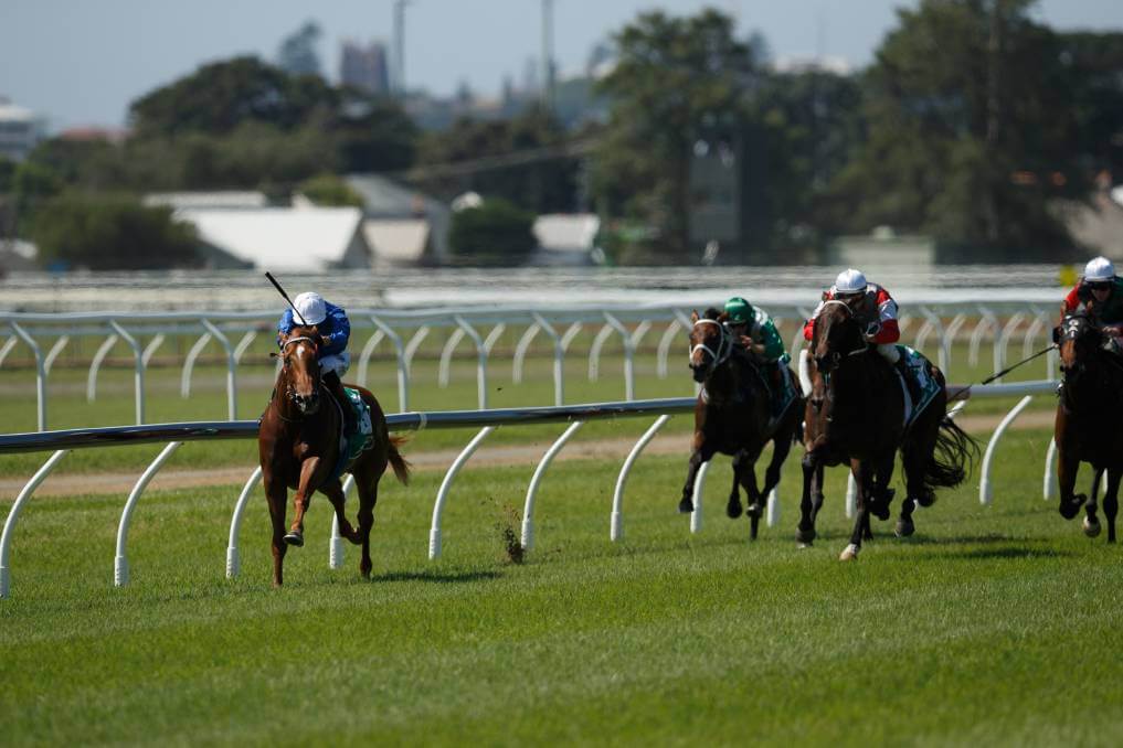 Guest Post | 5 Precautions To Keep in Mind while Setting Up Horse ...